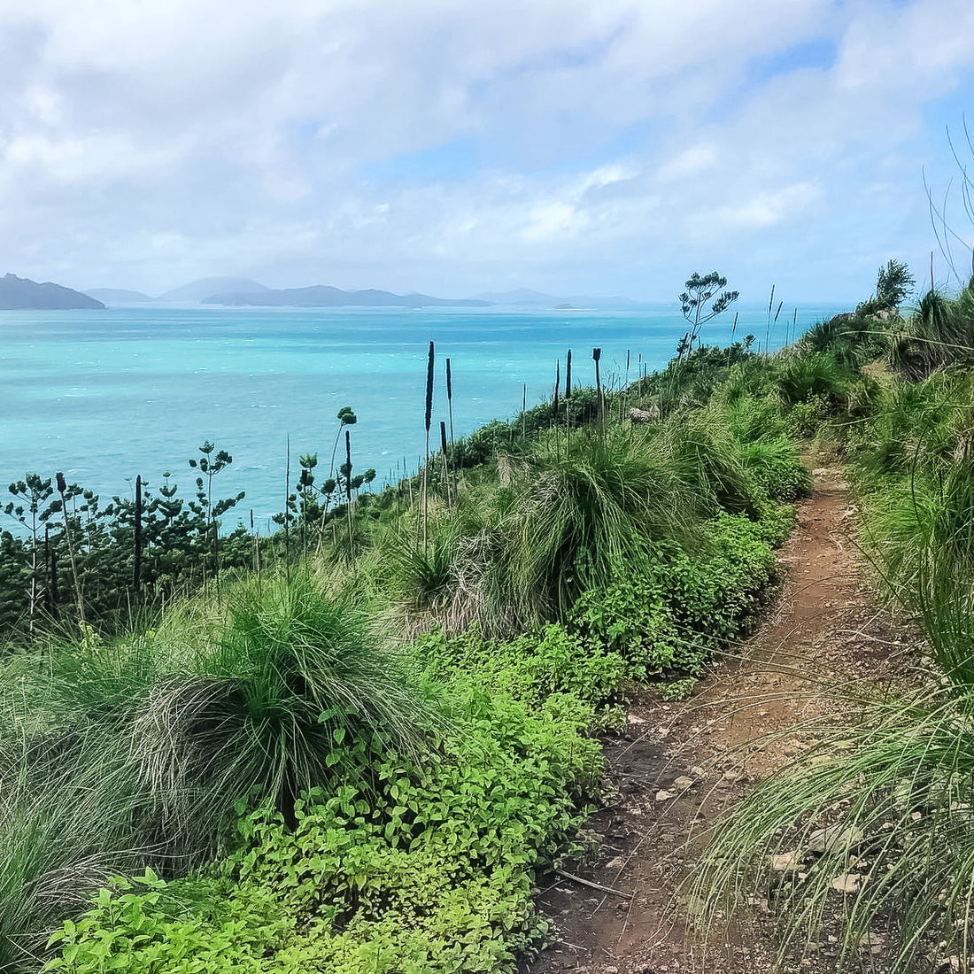 Trail Running, Hiking & Fast Packing Adventures – Trail Trekkers